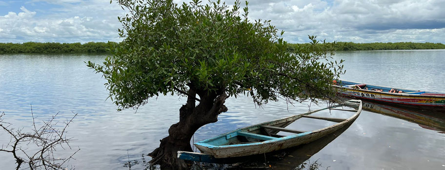 Senegal